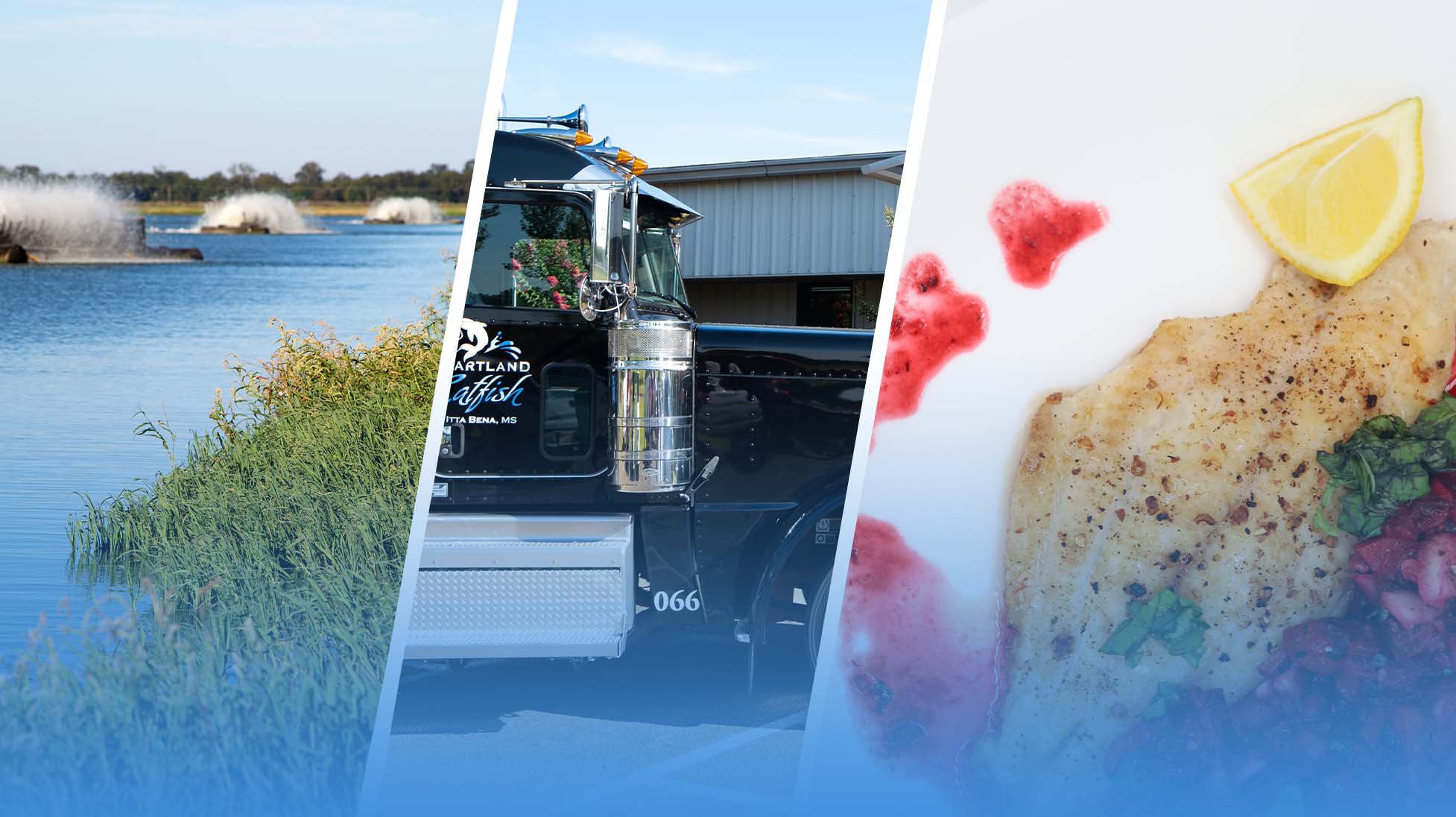 Why Catfish Is The Perfect Protein For Your Light Summer Meals