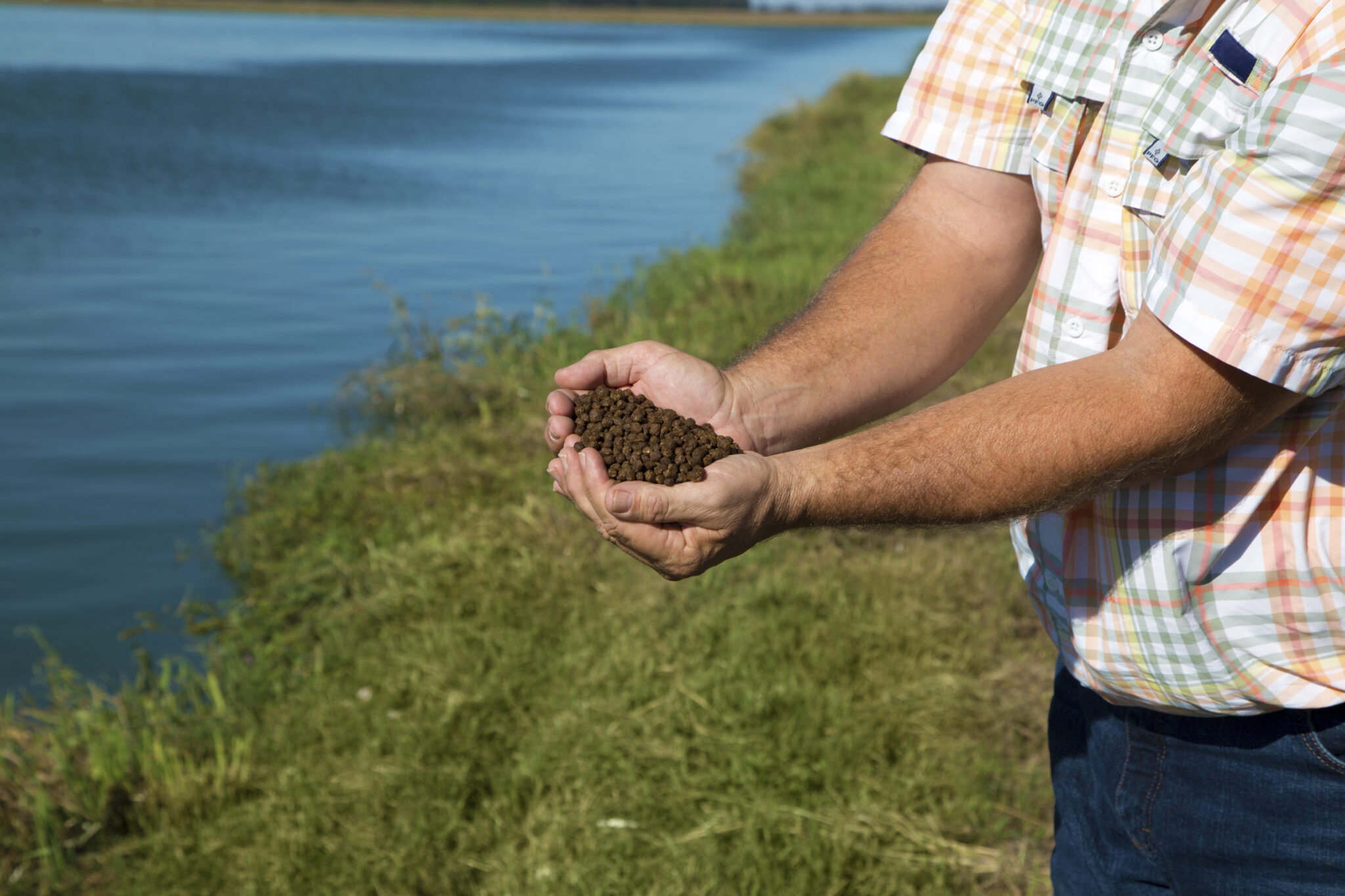 Is U.S. Farm-Raised Catfish Eco-Friendly? - Heartland Catfish